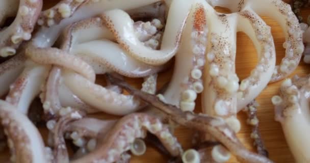 4,761 vídeos de Totani, metraje de Totani sin royalties | Depositphotos