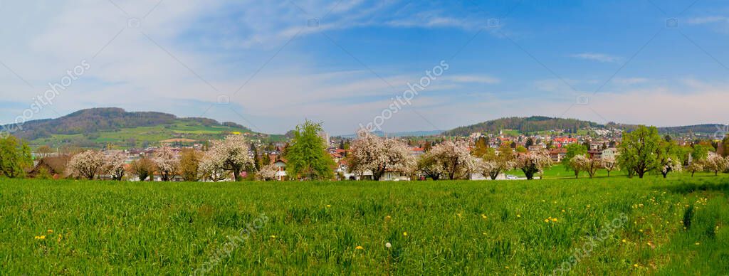 Reinach Stock Photos, Royalty Free Reinach Images | Depositphotos