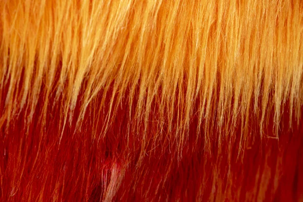 Redhead closeup Stock Photos, Royalty Free Redhead closeup Images ...