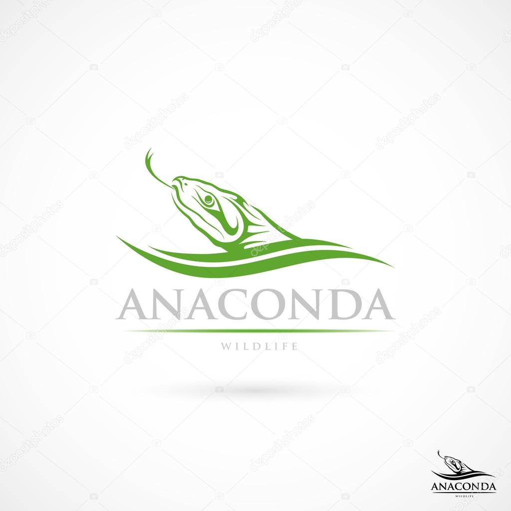 Anaconda Stock Vector Image by ©I.Petrovic #46026675