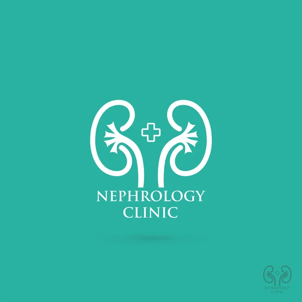 Nephrology Vector Art Stock Images | Depositphotos
