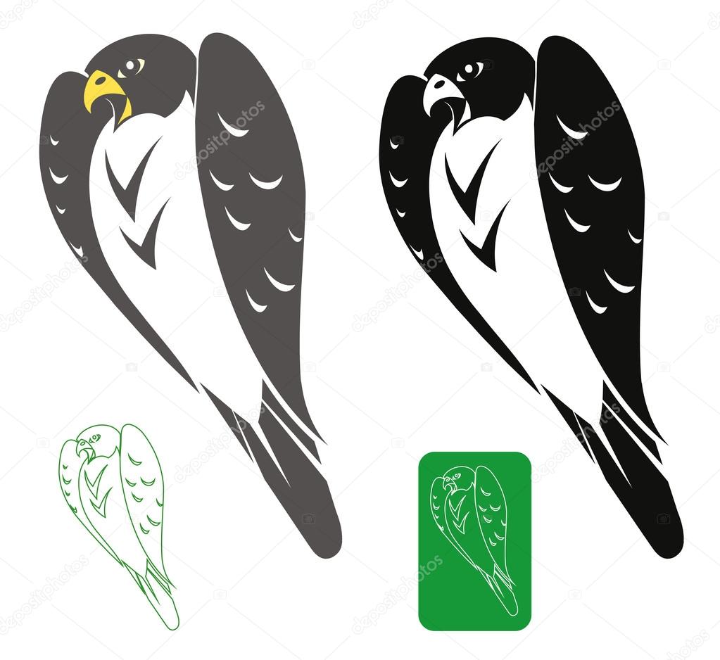Falcon in flight Stock Vector Image by ©I.Petrovic #46231293