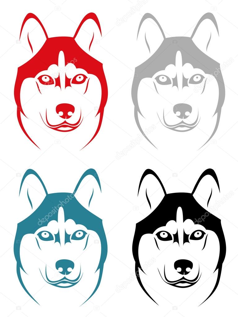 Husky dog Stock Vector Image by ©I.Petrovic #46231547