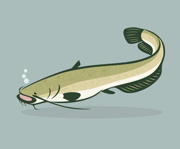 24,350,031 Catfish cartoon Vector Images | Depositphotos