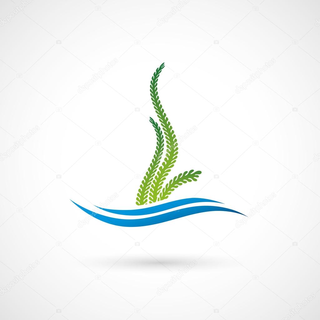 Seaweed label Stock Vector Image by ©I.Petrovic #46550293