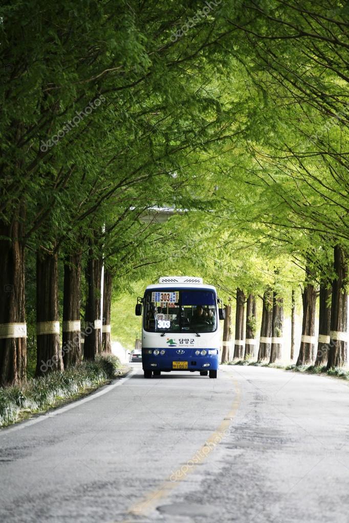 Bus driving on a road through the forest – Stock Editorial Photo © im ...