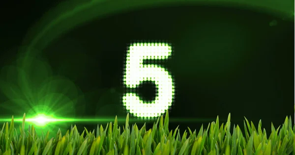 Animated Countdown Lights Grass Digital Animated Background — Stock ...
