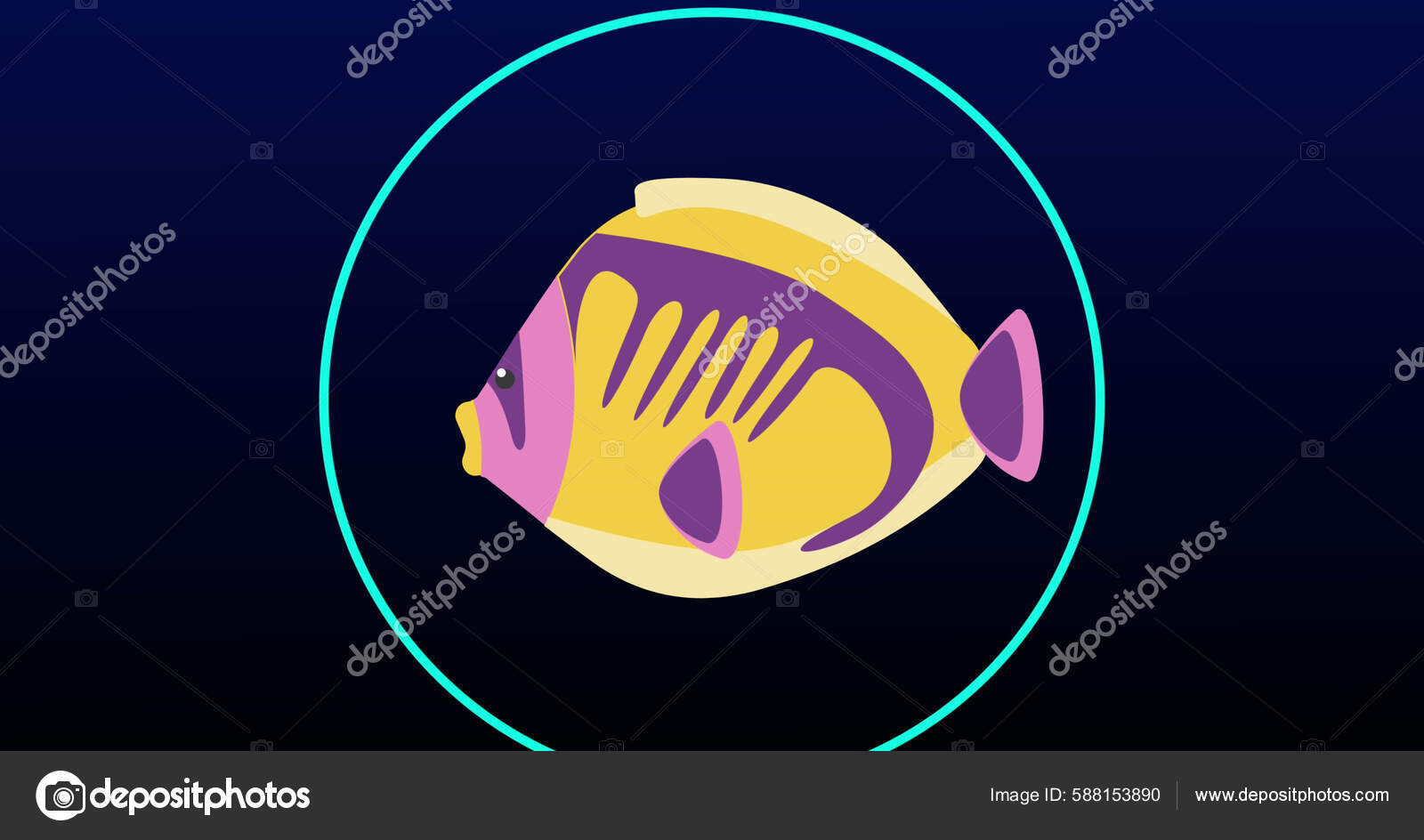 Image Fish Blue Shapes Black Background Nature Pattern Colour Movement ...