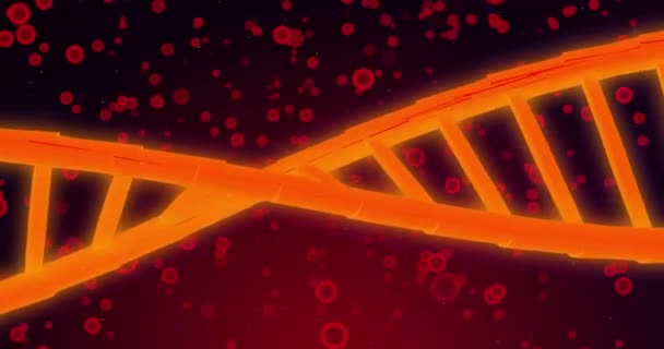 Animation Dna Red Cells Red Background Human Biology Anatomy Body ...