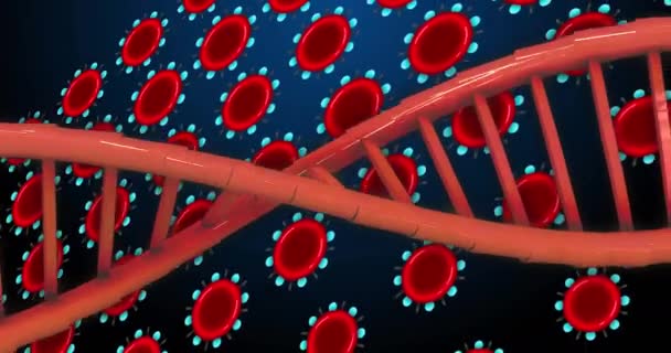 Animation Dna Red Cells Blue Background Human Biology Anatomy Body ...