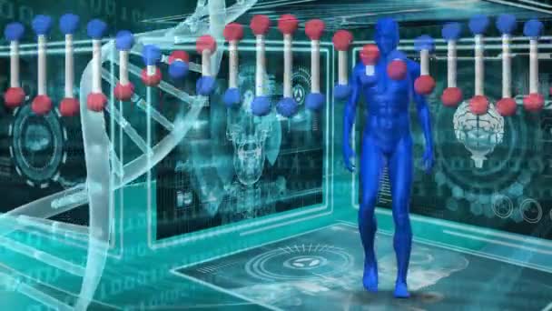 102,422 Modelo corpo Videos, Royalty-free Stock Modelo corpo Footage ...