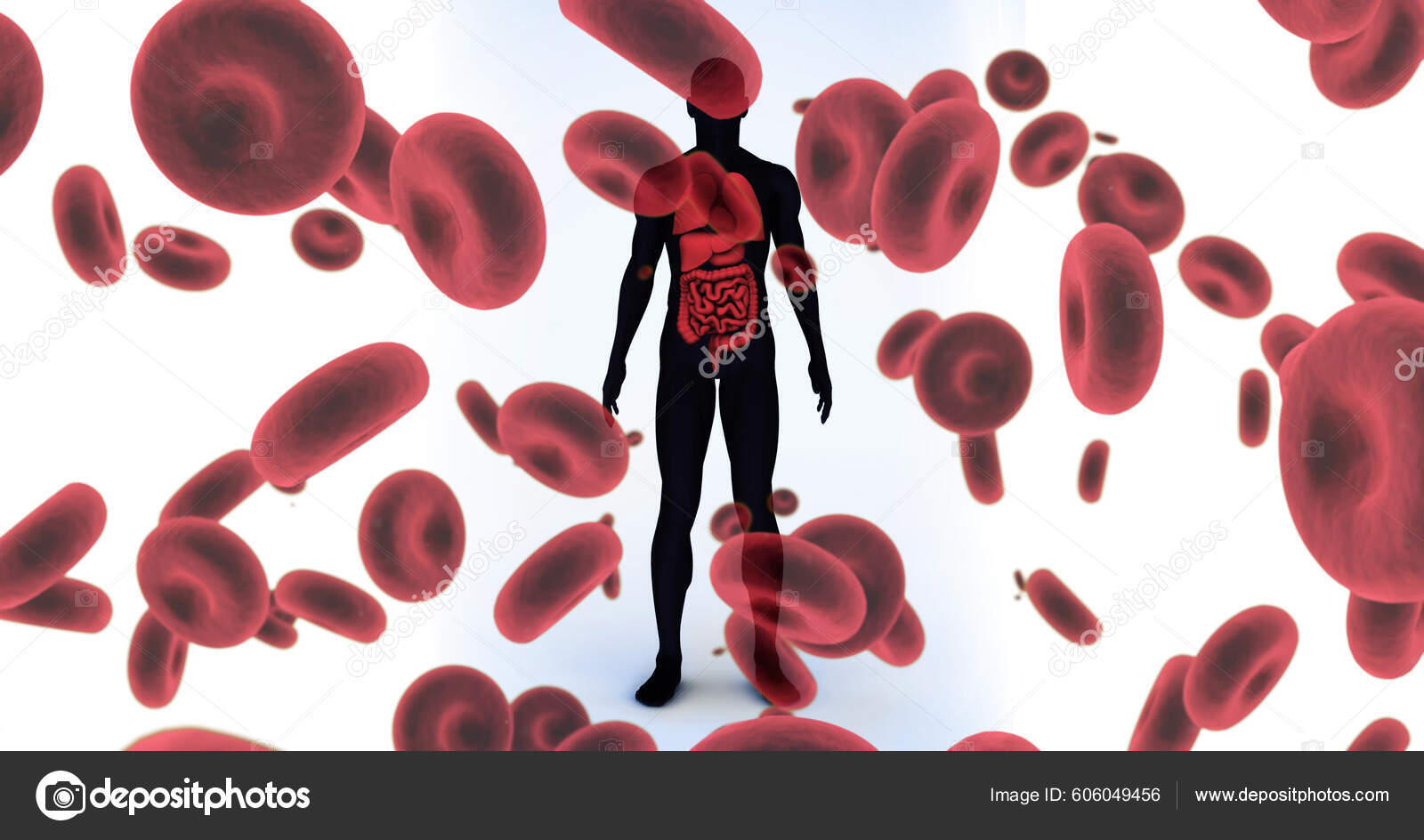 Image Falling Blood Cells Human Body Model Global Science Research ...