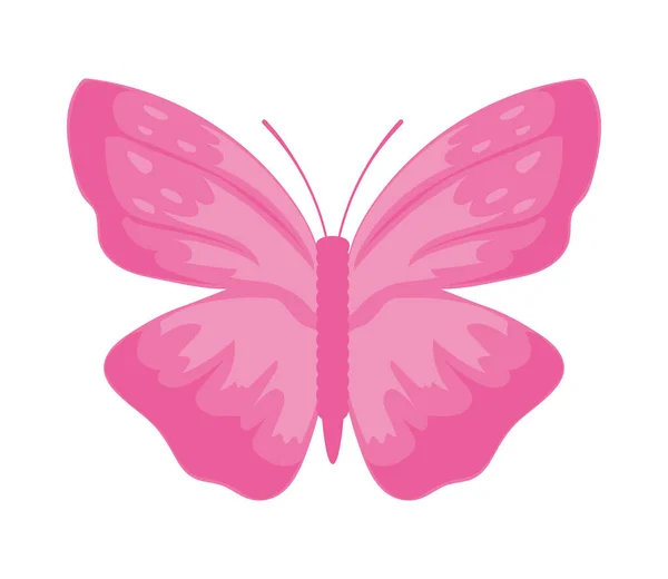 Papillon rose icône logo images libres de droit, photos de Papillon ...