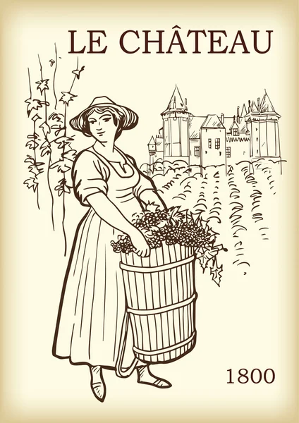 Vintner Vector Art Stock Images | Depositphotos