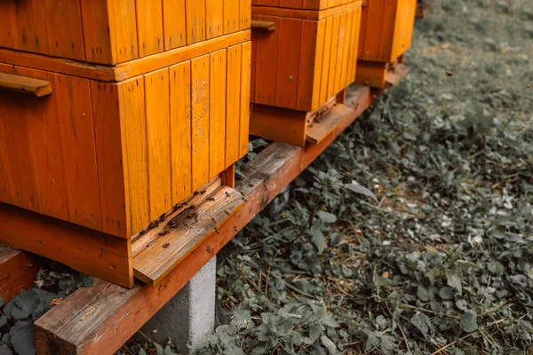 Romania bee hives Stock Photos, Royalty Free Romania bee hives Images ...