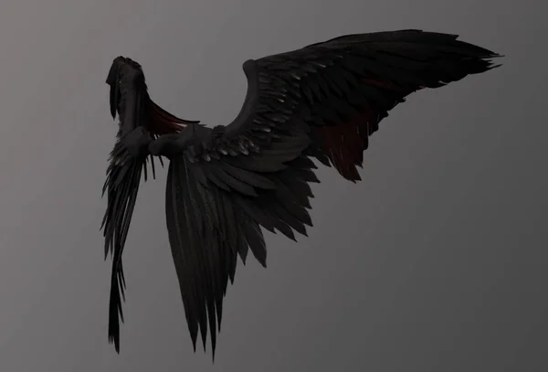 Alitas roja fotos de stock, imágenes de Alitas roja sin royalties ...