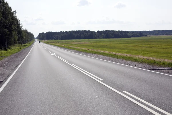 Roadkill on highway Stock Photos, Royalty Free Roadkill on highway ...
