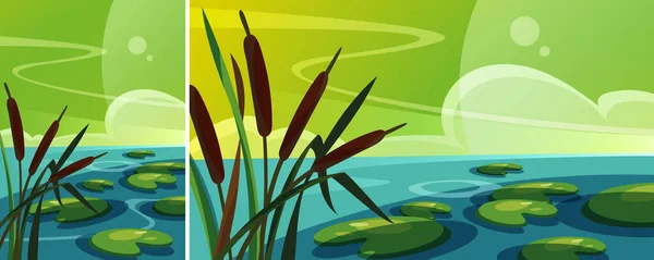 Water reeds Vector Images | Depositphotos