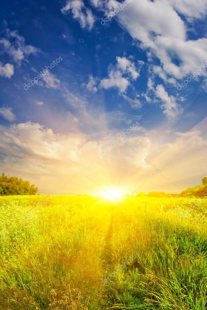 Sunny path Stock Photo by ©LDenis 47093891