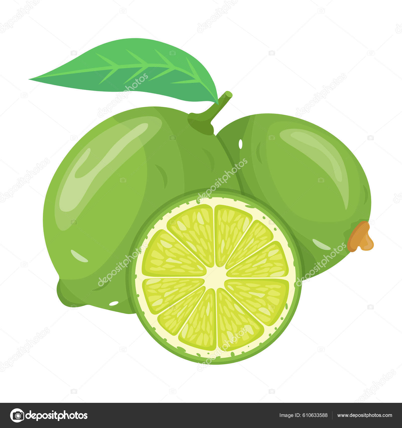 Clementine Fruit Modern Design Vector Illustration Stock Vector by ...