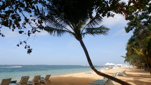 Bavarage Stock Photos, Royalty Free Bavarage Images | Depositphotos