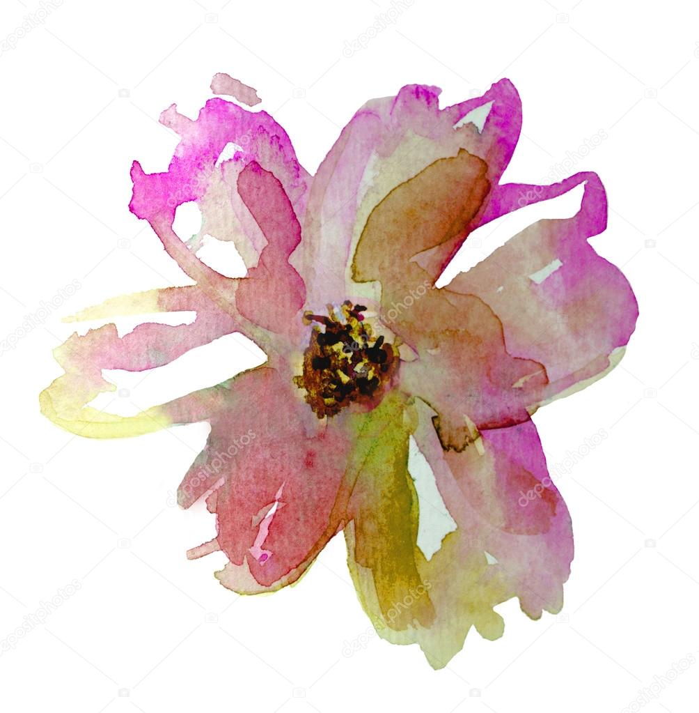 Single Watercolor Flower Stock Photo by ©angiemakes 48217751