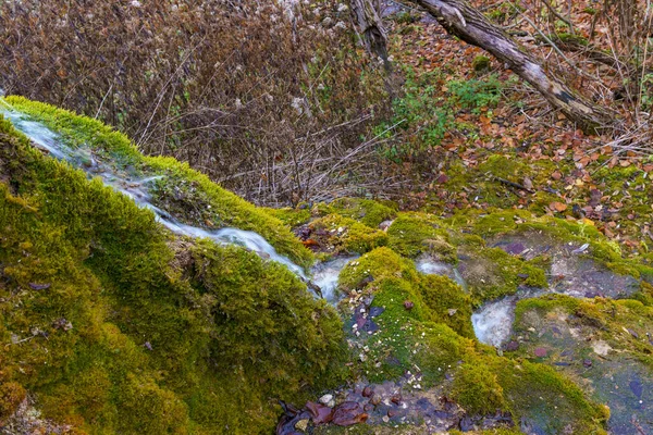 Spring water flow Stock Photos, Royalty Free Spring water flow Images ...