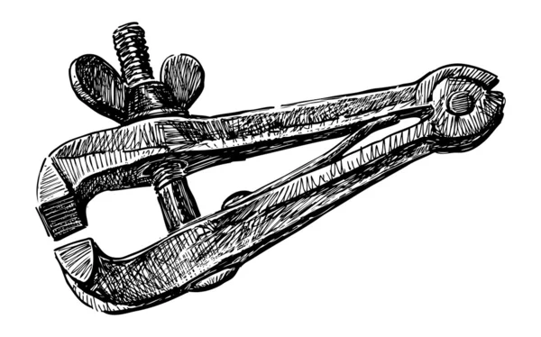 Anatomy of the hand Stock Vector Image by ©alekseimakarov #47150967