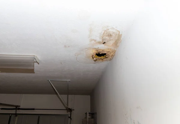 Termite Water Damage Baseboard House Stock Photo by ©C5Media 539521048