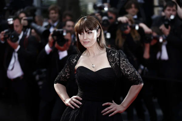 Bellucci Stock Photos, Royalty Free Bellucci Images | Depositphotos®