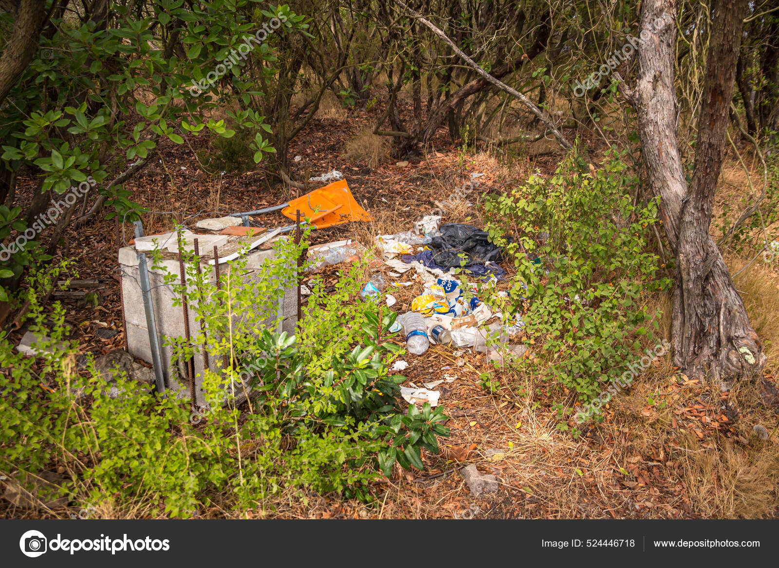 Environmental Pollution Irresponsible Dumb Trash National Park Elba ...