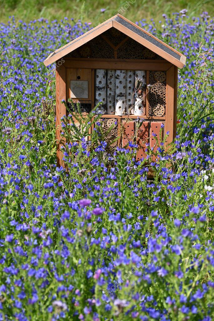 Casa especial para insectos de jardín útiles, construida con materiales ...