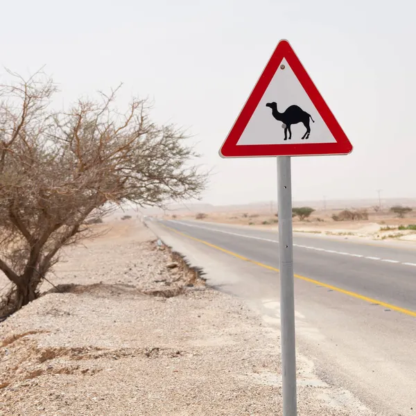 Camel crossing sign Stock Photos, Royalty Free Camel crossing sign ...