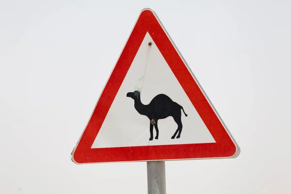 Camel road sign Stock Photos, Royalty Free Camel road sign Images ...