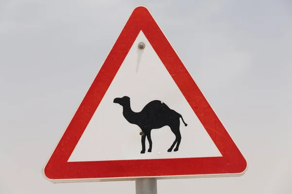 Camel crossing sign Stock Photos, Royalty Free Camel crossing sign ...