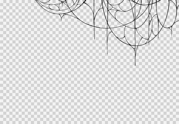 Spider Hanging Spiderwebs Isolate Png Transparent Background Graphic ...