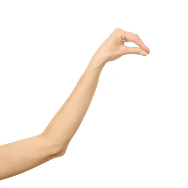 Holding Measuring Hands Woman Hand French Manicure Gesturing Isolated ...