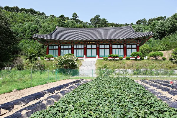 Plantasyon de kore Stock Photos, Royalty Free Plantasyon de kore Images ...