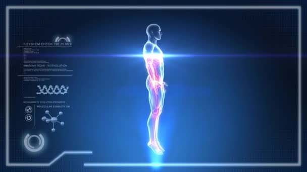 Rotating Human Body Bone scan on digital screen - Animation LOOP Stock ...