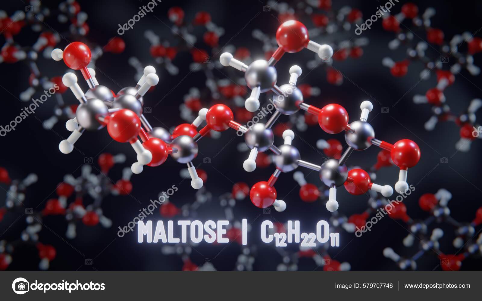 Maltose Molecule