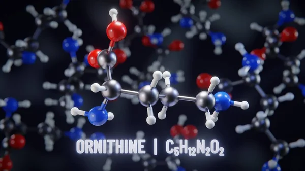 Estructura molecular ornitina. Ilustración 3D 2023