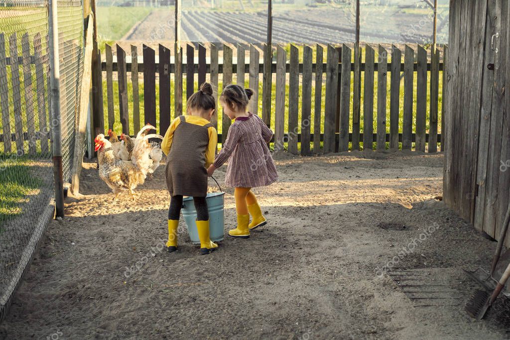 Dos hermanas con un cubo azul lleno de alimento de grano para aves ...