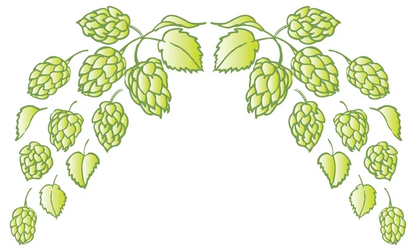 Vektorgrafiken Hopfen Vektorbilder Hopfen | Depositphotos