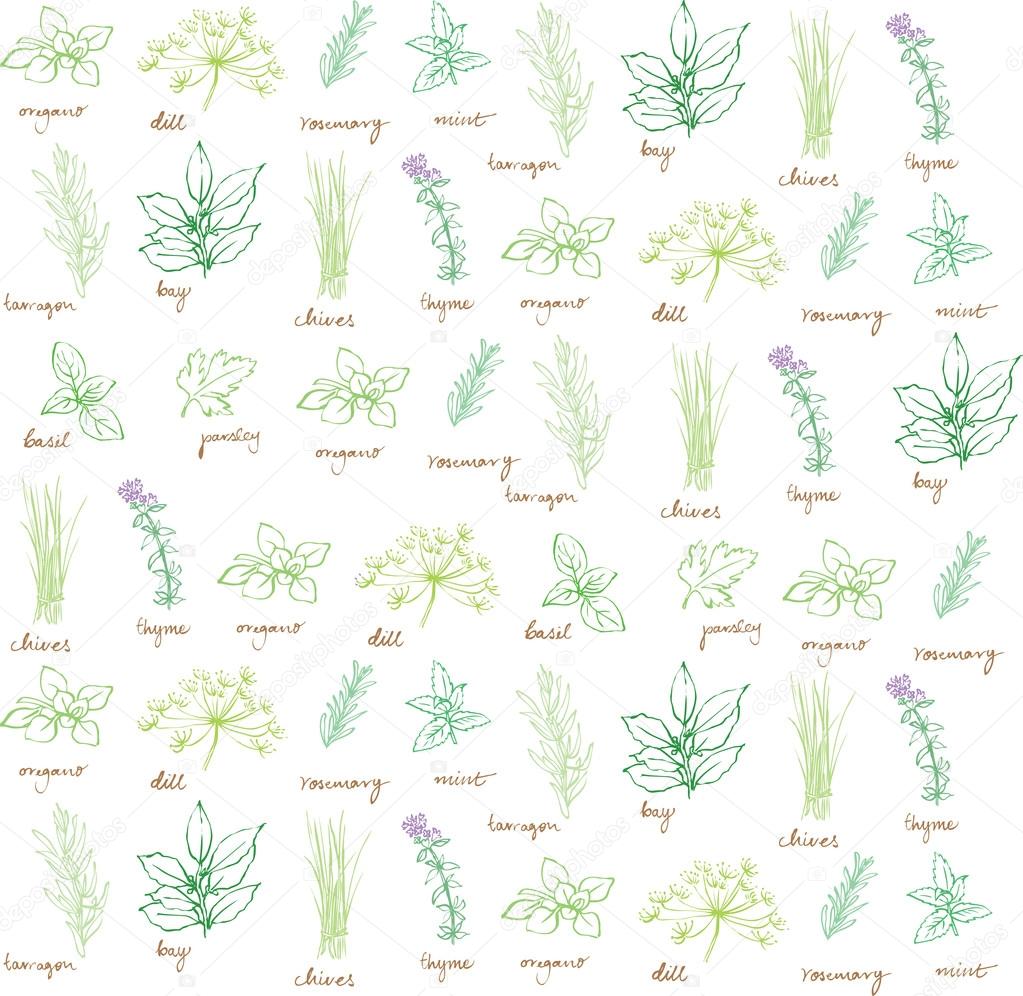 Fresh herbs background Stock Vector by ©OMW 48690151