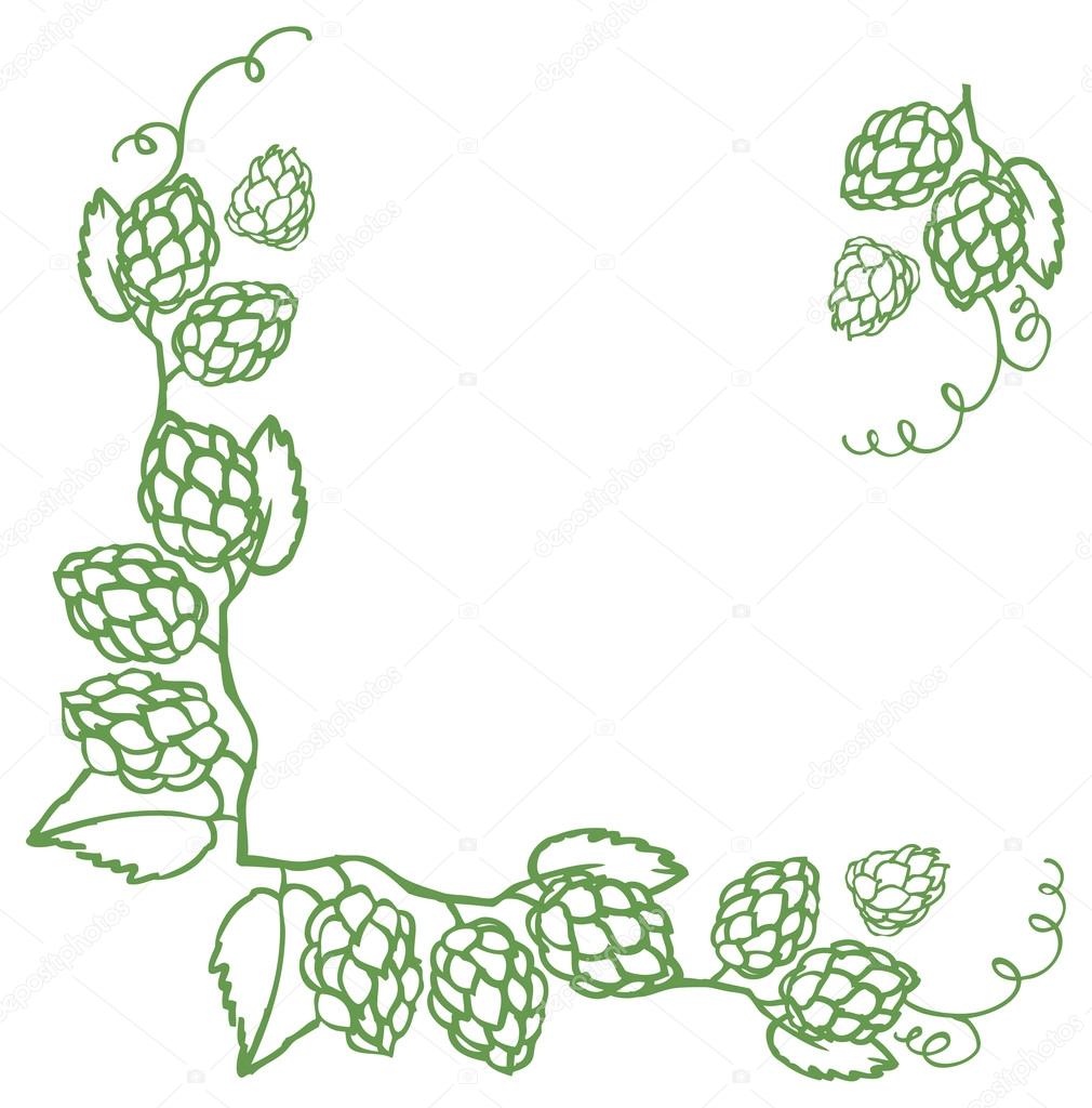Hops Border Vector