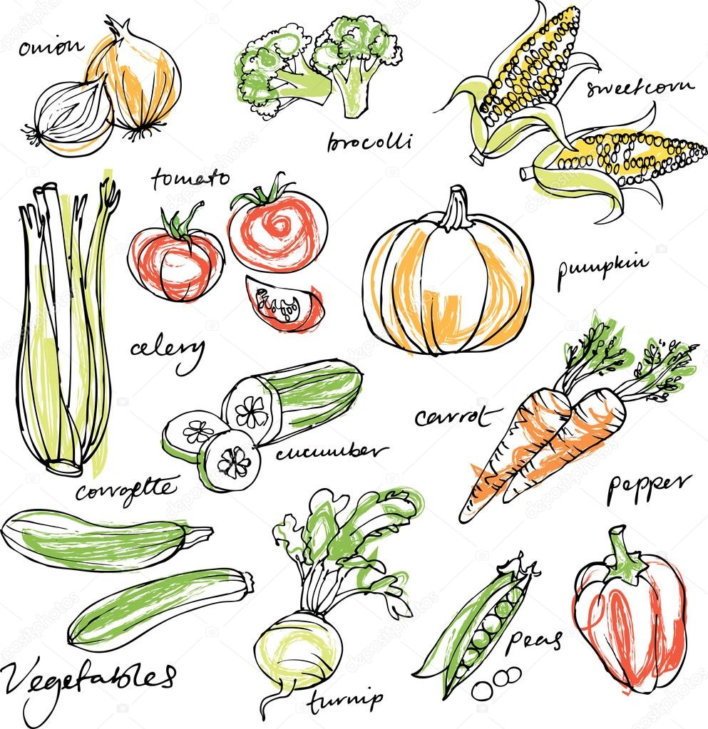 Assorted vegetables Stock Vector Image by ©OMW #48730469