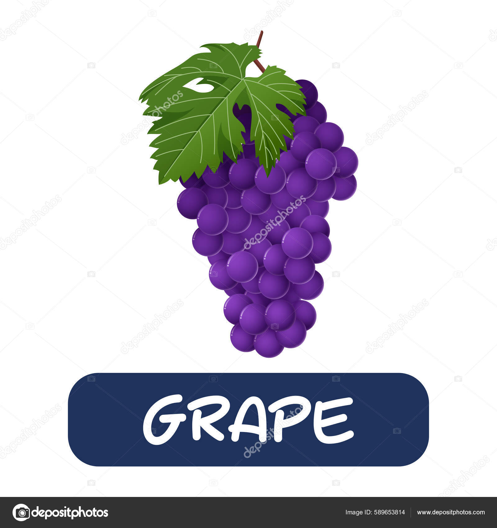 Cartoon Grape Fruit Vector Isolated White Background Vecteur par ...