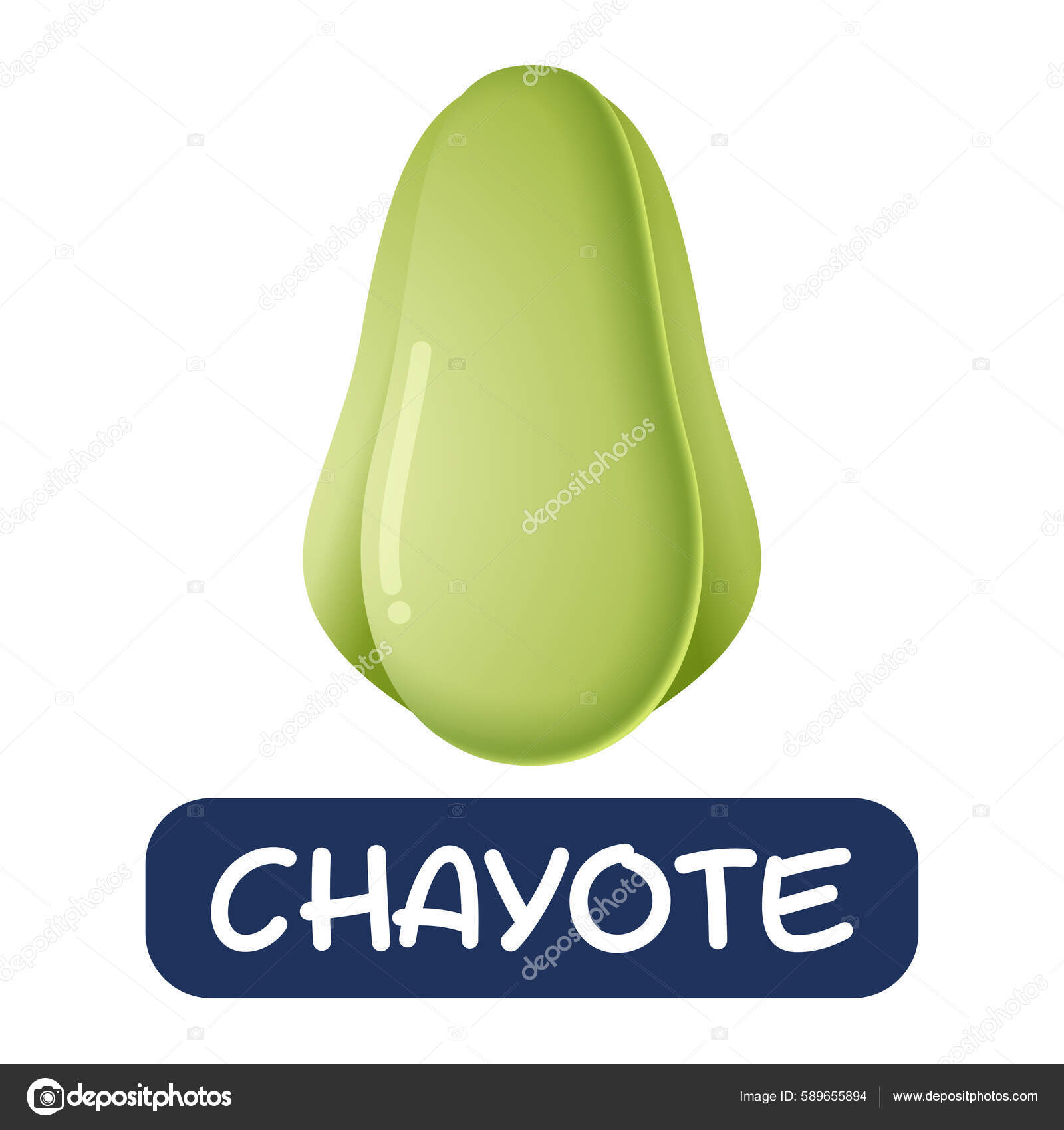 Karikatur Chayote Gemüse Vektor Isoliert Auf Weißem Hintergrund Stock ...