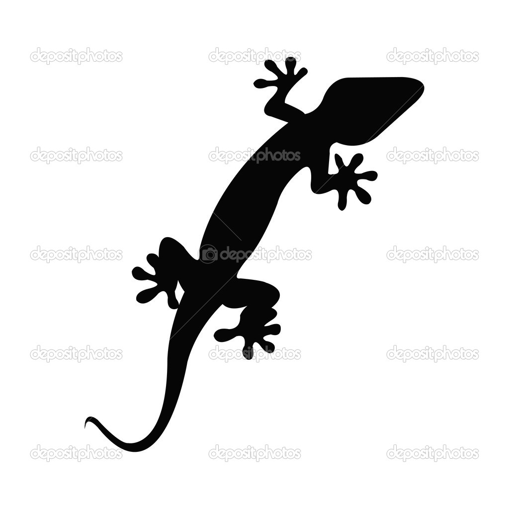 Salamander — Vector de stock © agongallud #50474401