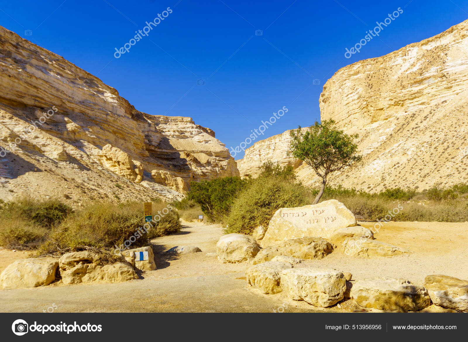 Trail Head Canyon Ein Avdat National Park Oasis Negev Desert — Stock ...